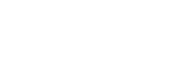 ParaDerm® Dermal Matrix – Paragon 28