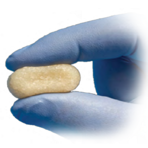 BEAST™ Demineralized Bone Matrix – Paragon 28