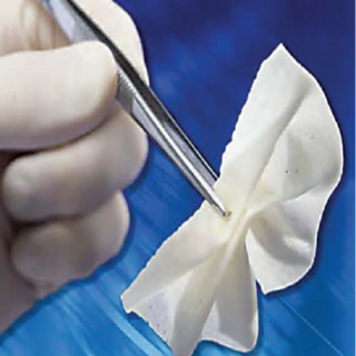 ParaDerm® Dermal Matrix – Paragon 28