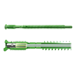 Screw Systems – Paragon 28