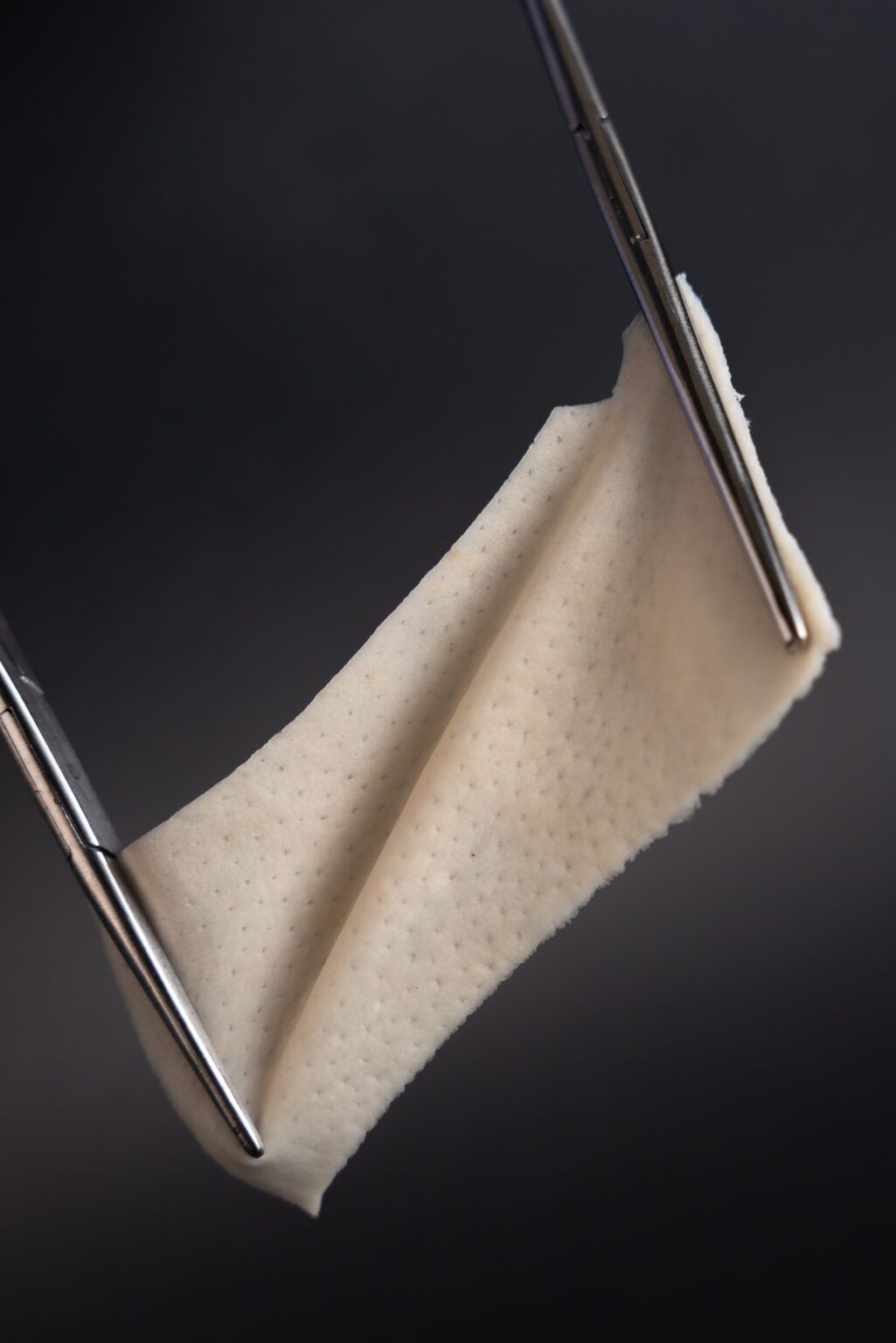 ParaDerm® Dermal Matrix – Paragon 28