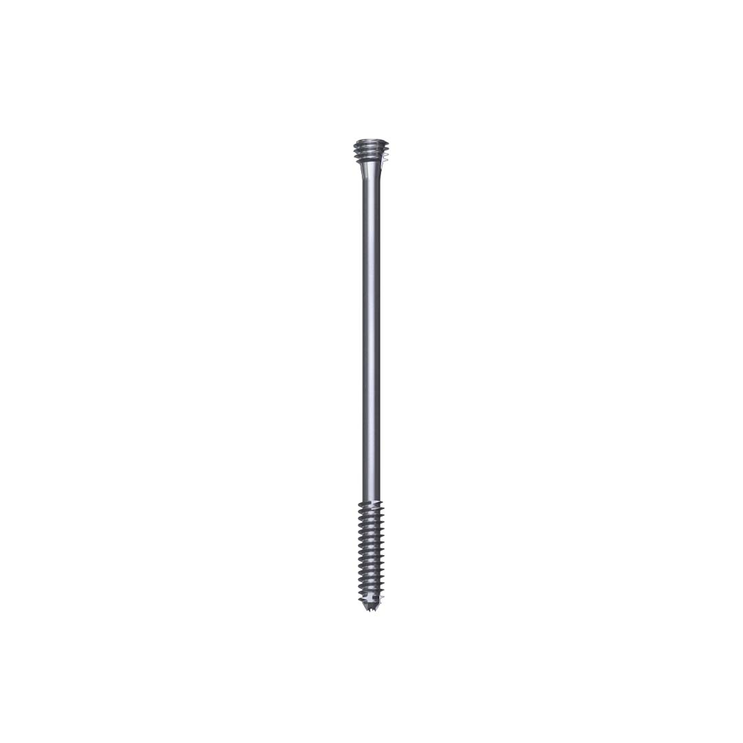 Screw Systems - Paragon 28