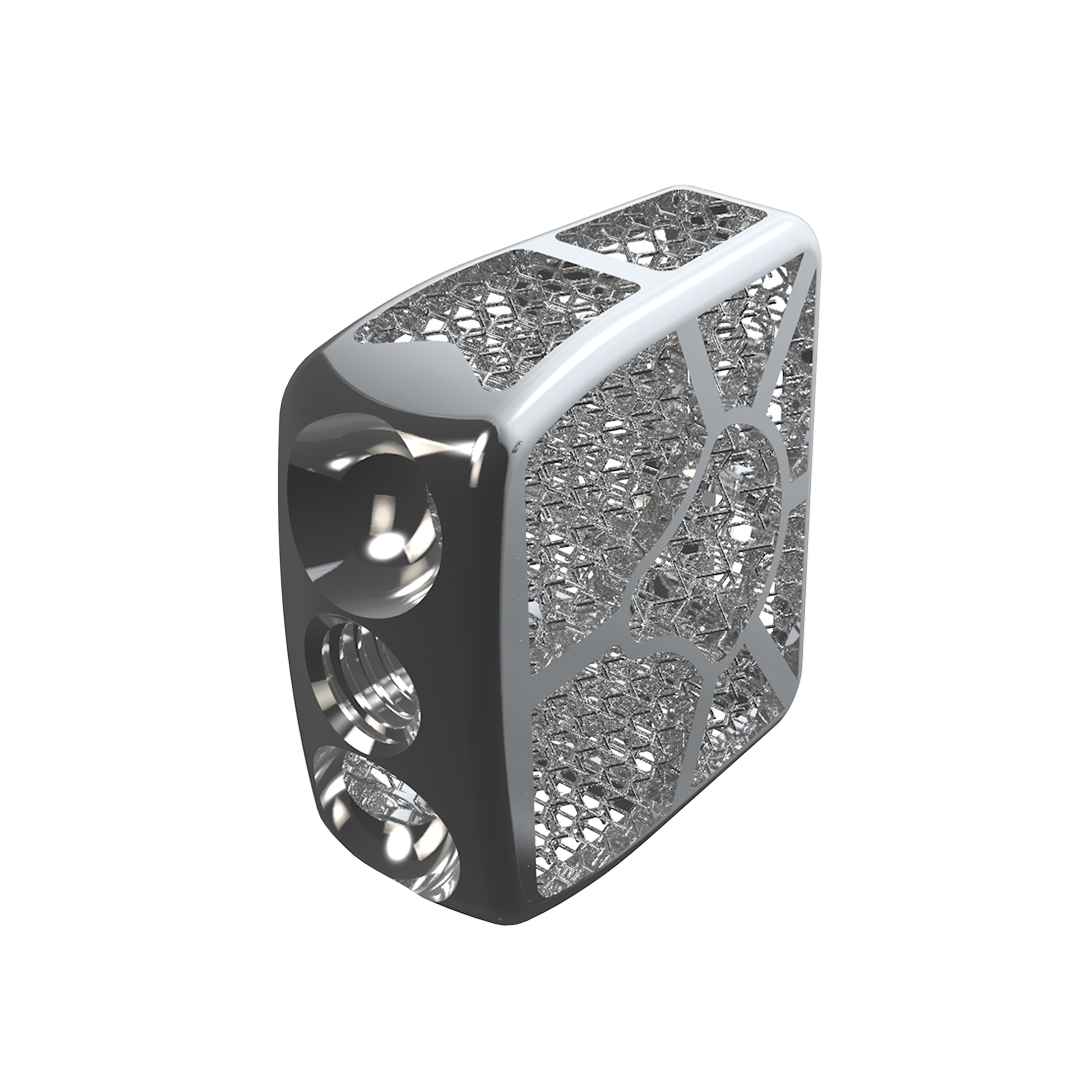 Porous Titanium Wedges - Paragon 28